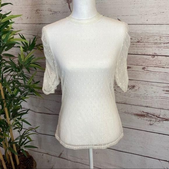 Tops | Shear Cream Mesh Top With Cinched Sleeves | Poshmark